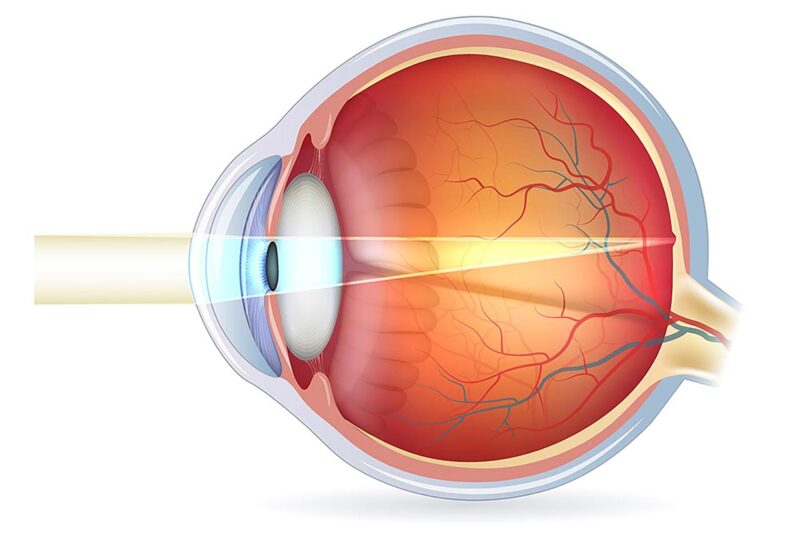 Aufbau des Auges - Augenzentrum Frauenfeld